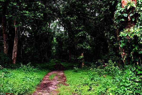 Near by – Hotel Mahabir Inn